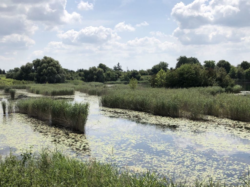 Szachty warte Poznania - Poznańskie klimaty